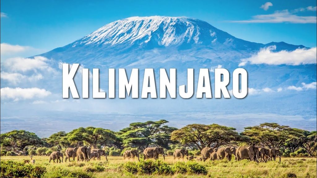 Why You Should Visit Kilimanjaro at Least Once in Your Lifetime ...