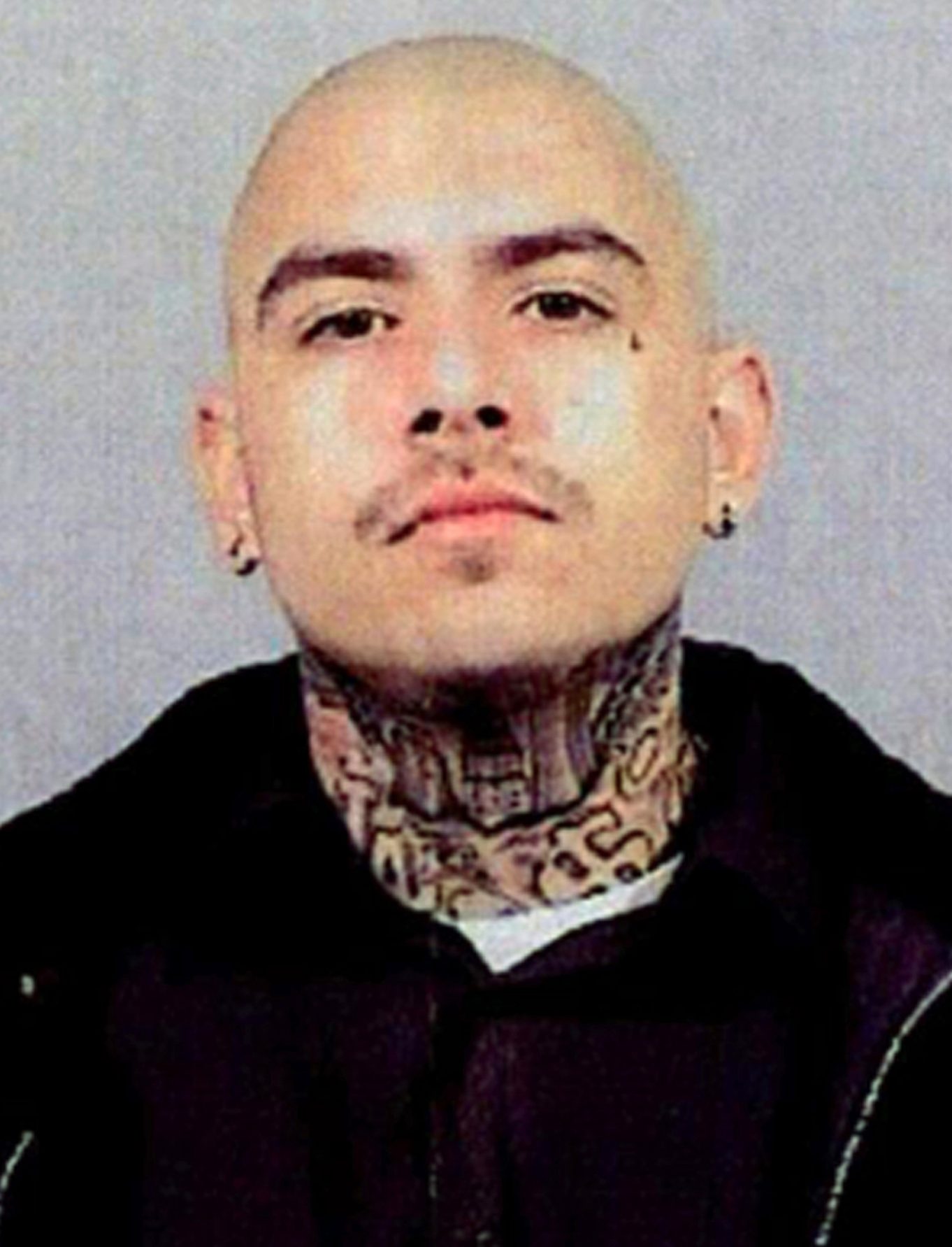 LAPD: 1 arrested, 2 suspects still at large in Bryan Stow beating ...
